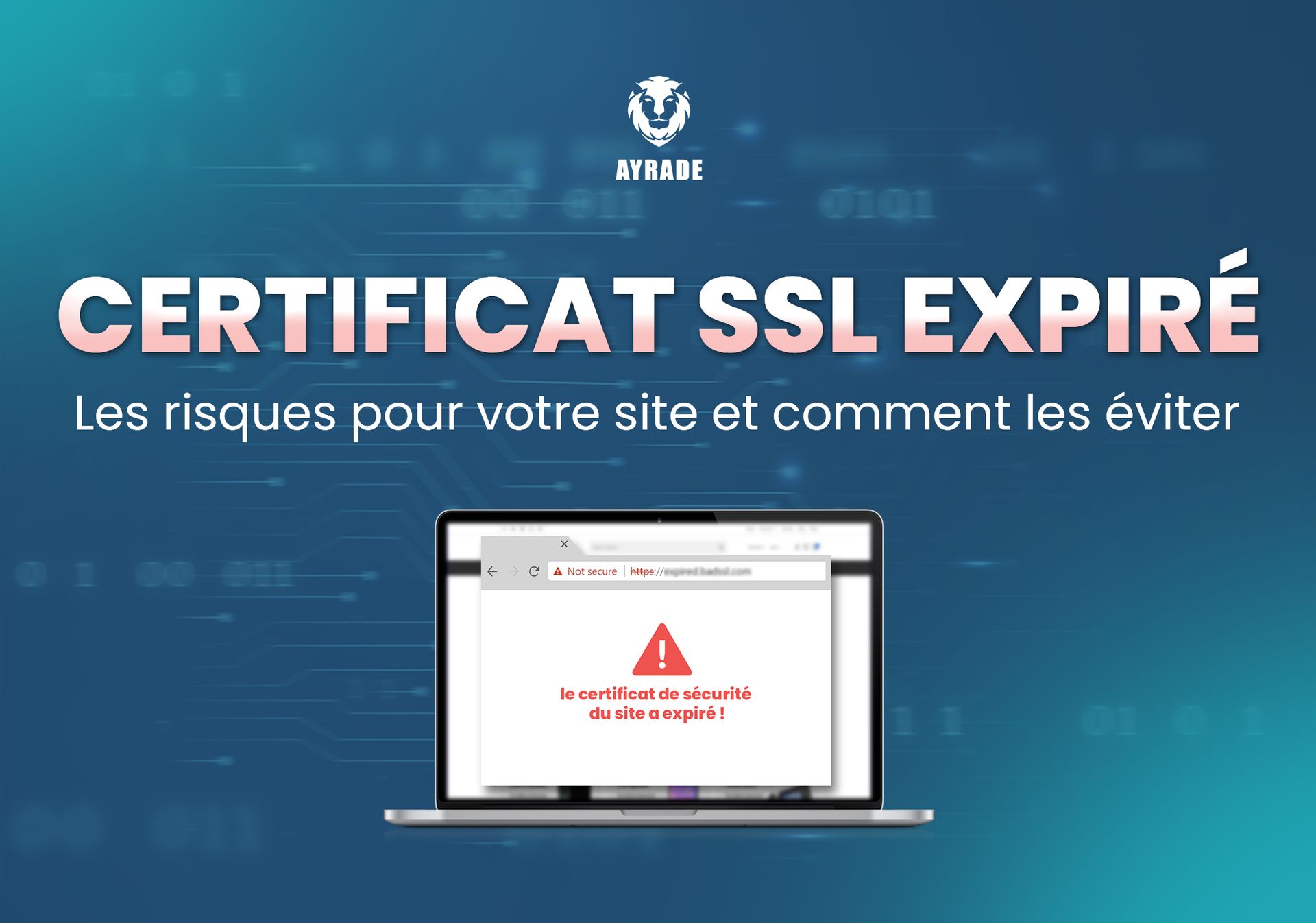 Certificat SSL Expiré : Les Risques pour Votre Site et Comment les éviter